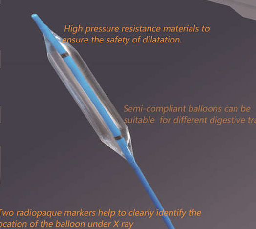 ERCP Accessories | Single-use Balloon Dilator Catheter | Medical ...